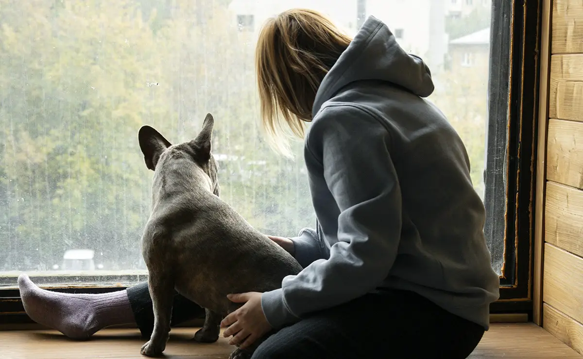 13 Ideed, Kuidas Hoida Oma Koer Vihmastel Päevadel Hõivatud